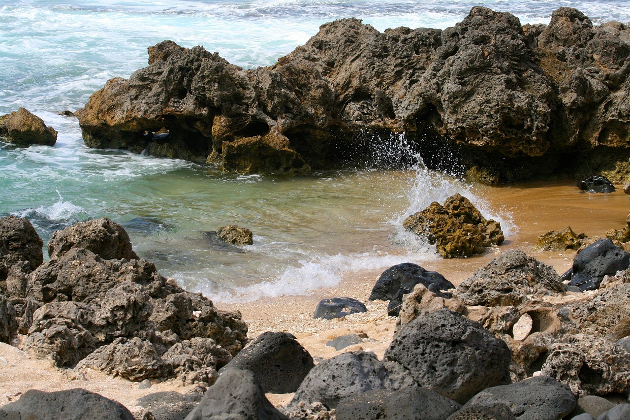 Discover the Best Los Angeles Beaches to Visit